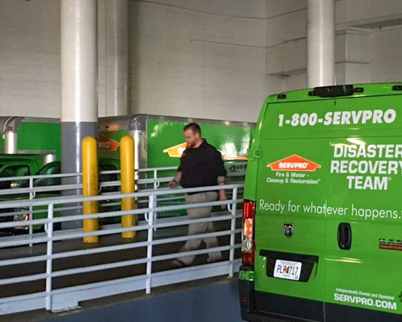 Halı yıkamacılar Servpro of Rutherford County, Murfreesboro, foto