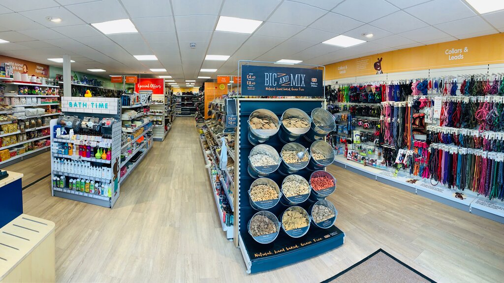 Petshop Pets Corner, İngiltere, foto