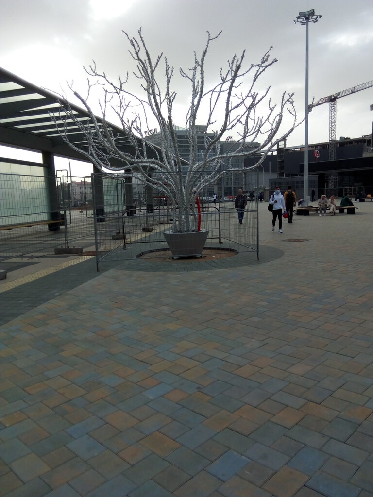 Toplu taşıma durağı Ds Družnaja, Minsk, foto