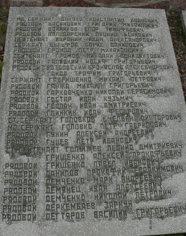 Anıt, heykel Братская могила воинов, Jytomyr, foto