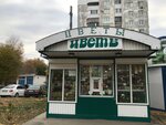 Tsvety (улица Дзержинского No:8), çiçekçiler  Novokuybyşevsk'ten