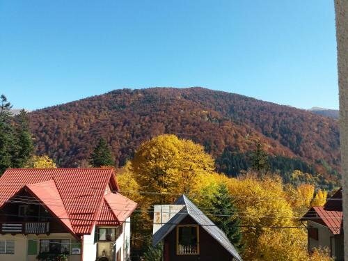 Otel Pensiunea Vila Gabriel, Sinaia, foto