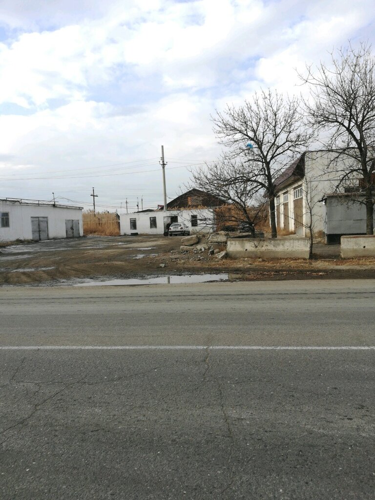 Çimento firmaları Cement, Taraz, foto