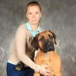 Heaven Heart - кинологический питомник РКФ (ulitsa Gagarina No:60, selo Nikolo-Uryupino), evcil hayvan yetiştiricileri  Moskova ve Moskovskaya oblastından