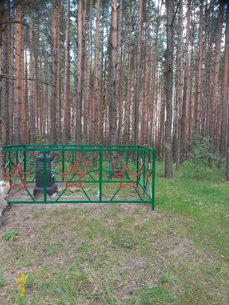 Ünlü kişilerin mezarları Сильвестр Григорьевич Полищук, Vladimirskaya oblastı, foto