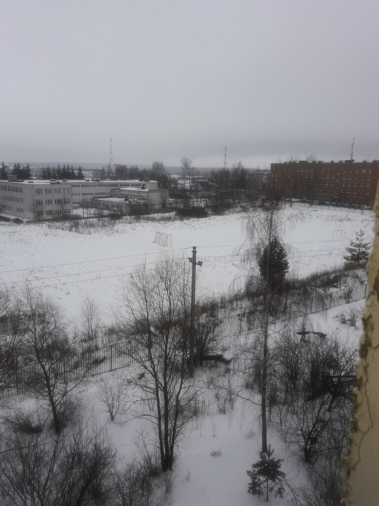 Spor alanı Футбольное поле, Moskova ve Moskovskaya oblastı, foto