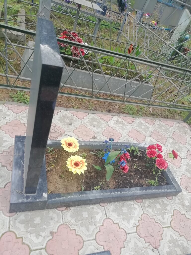 Ünlü kişilerin mezarları В.И. Гаравский, Arhangelskaya oblastı, foto