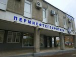 Росгеология (Lodygina Street No:34), jeoloji, jeofizik  Perm'den