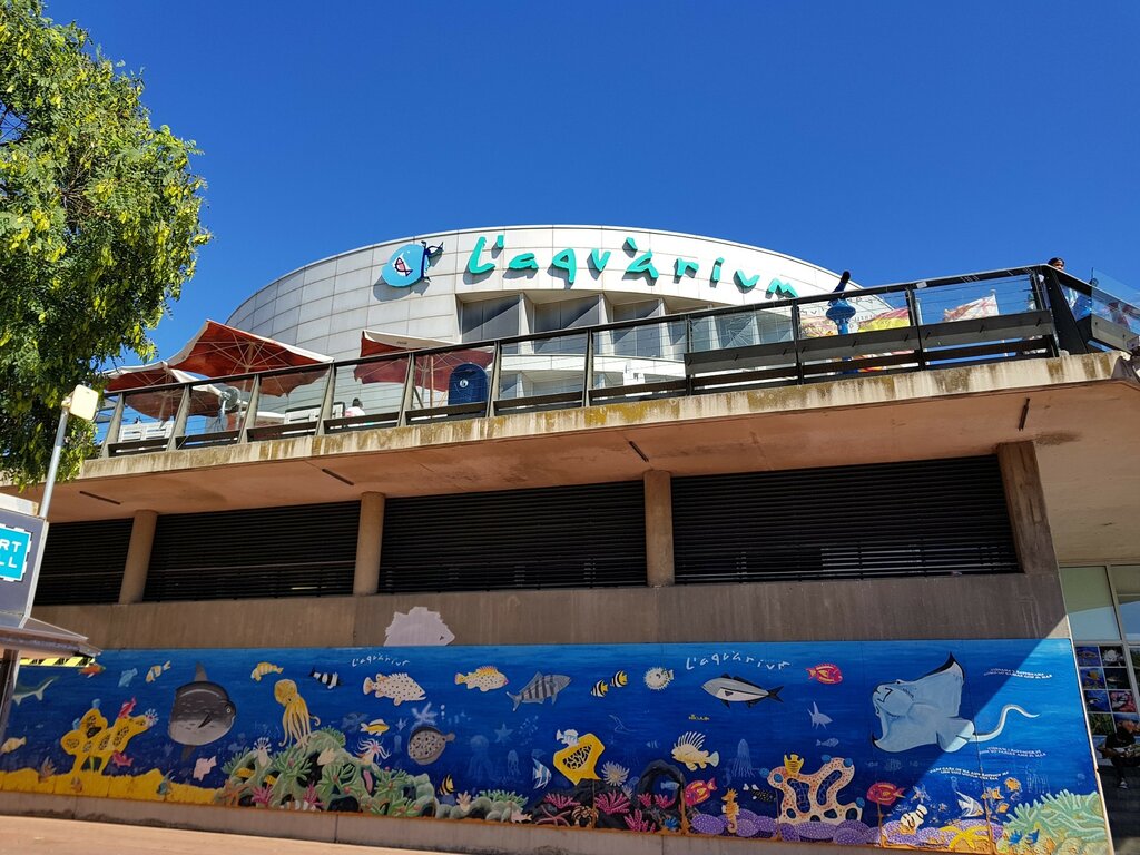 Akvaryumlar L`Aquarium, Barselona, foto