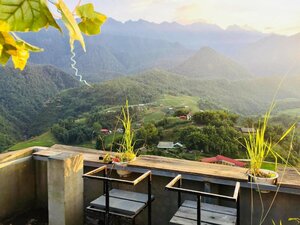 The Art - Golden Jungle House (Hải Phòng Municipality, Đảo Cát Bà), otel