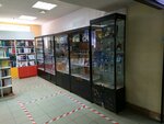 Джейсон клаб (Alekseevskaya Street No:8/1), anime mağazası  Nijni Novgorod'dan