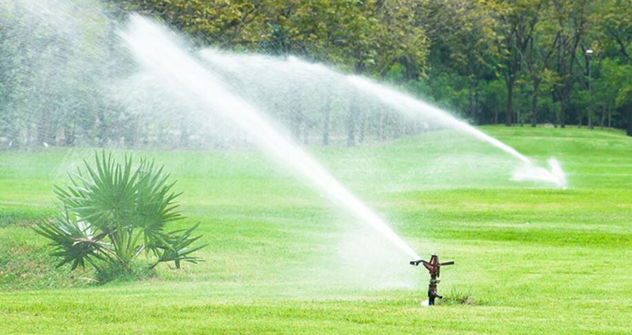 Peyzaj tasarımı Fischer Irrigation, Texas, foto