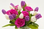 Fiori e Fiori Stefania Mezzelani (Corso del Popolo No:27, Filottrano), çiçek teslimatı  Marche'den