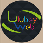 Ulubey Web Tasarım (Ergenekon Mah., Millet Cad., No:19, Turgutlu, Manisa), web tasarım hizmetleri  Turgutlu'dan