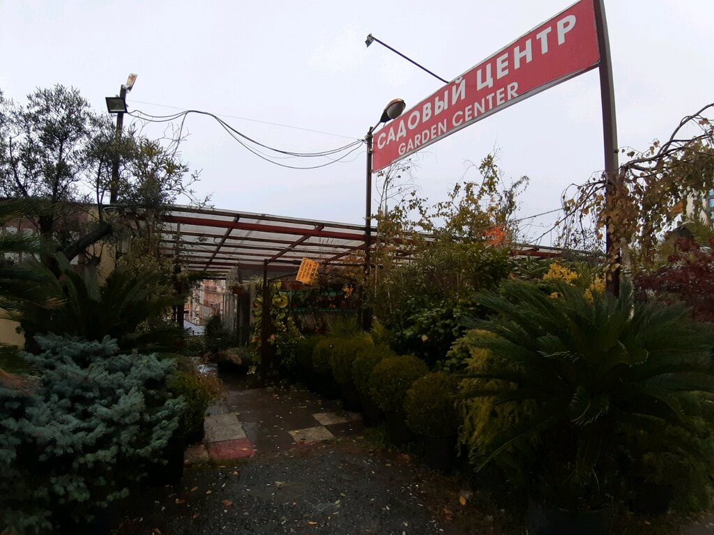 Sera ve bahçe ürünleri Sadovy tsentr, Soçi, foto