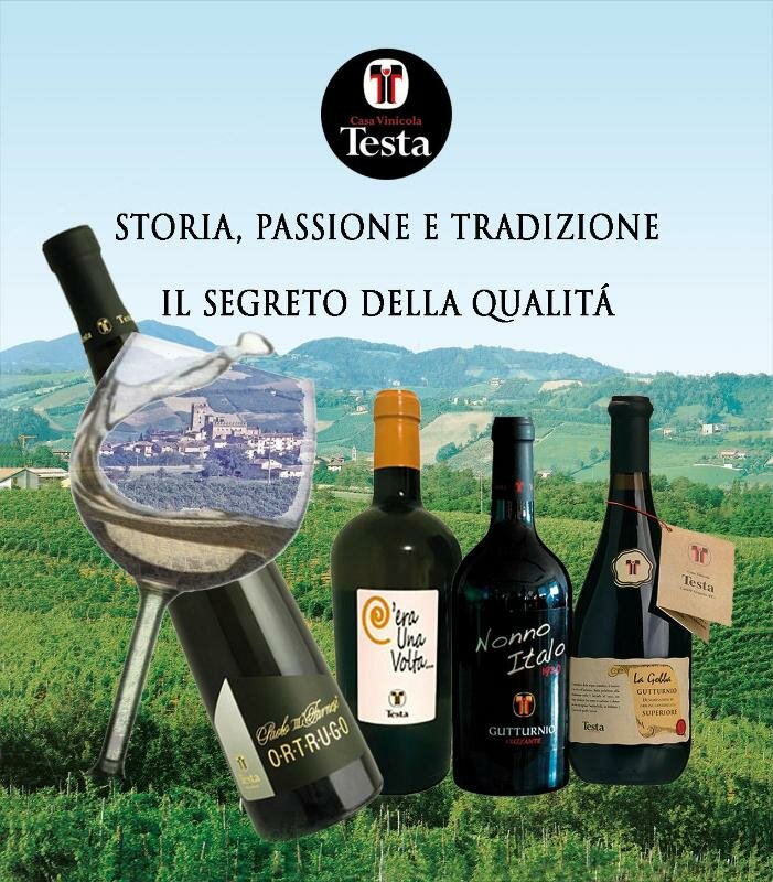 Şarap ve içki toptan satışları Casa Vinicola Testa, Emilia‑Romagna, foto
