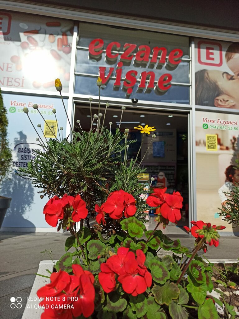 Eczaneler Vişne Eczanesi, İstanbul, foto