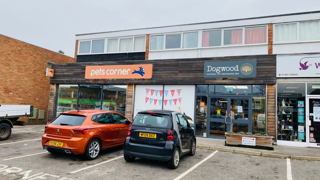 Petshop Pets Corner, İngiltere, foto