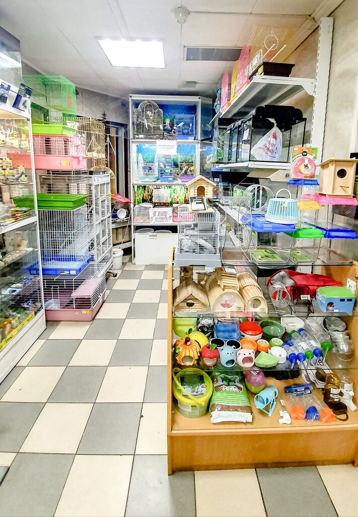 Petshop Dva kota, Rostov‑na‑Donu, foto