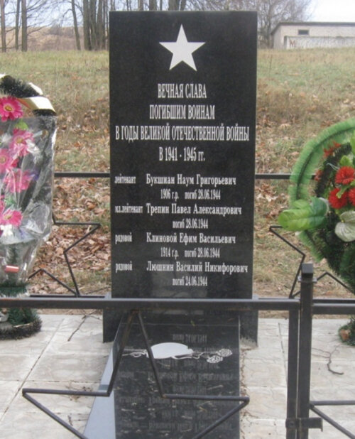 Anıt, heykel Братская могила, Mogiliovskaya oblastı, foto