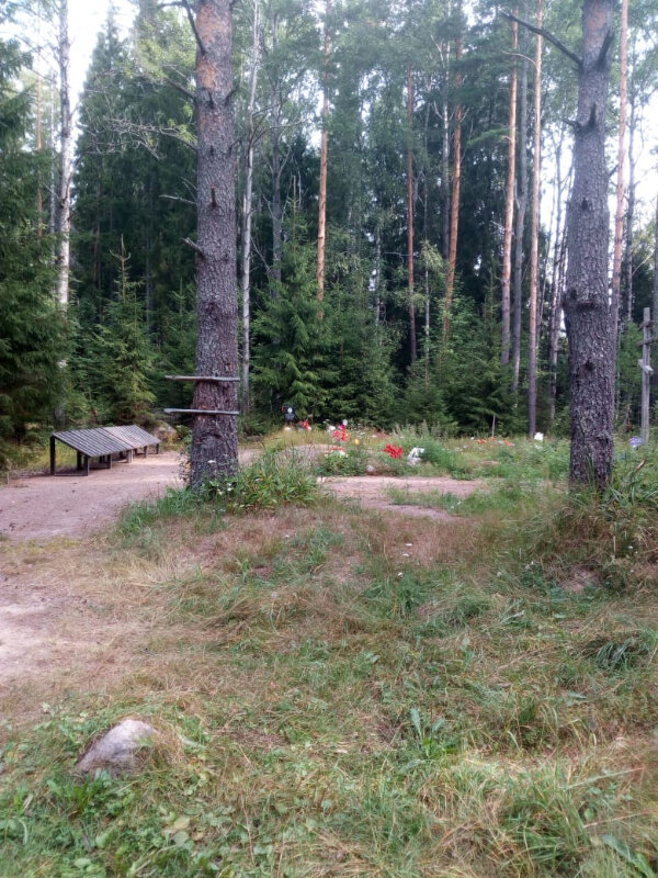 Anıt, heykel Братские захоронения советских воинов № 65, Saint‑Petersburg ve Leningradskaya oblastı, foto