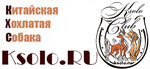 Ksolo club (Zelyonaya Street No:65, Krasnogorsk), evcil hayvan yetiştiricileri  Krasnogorsk'tan