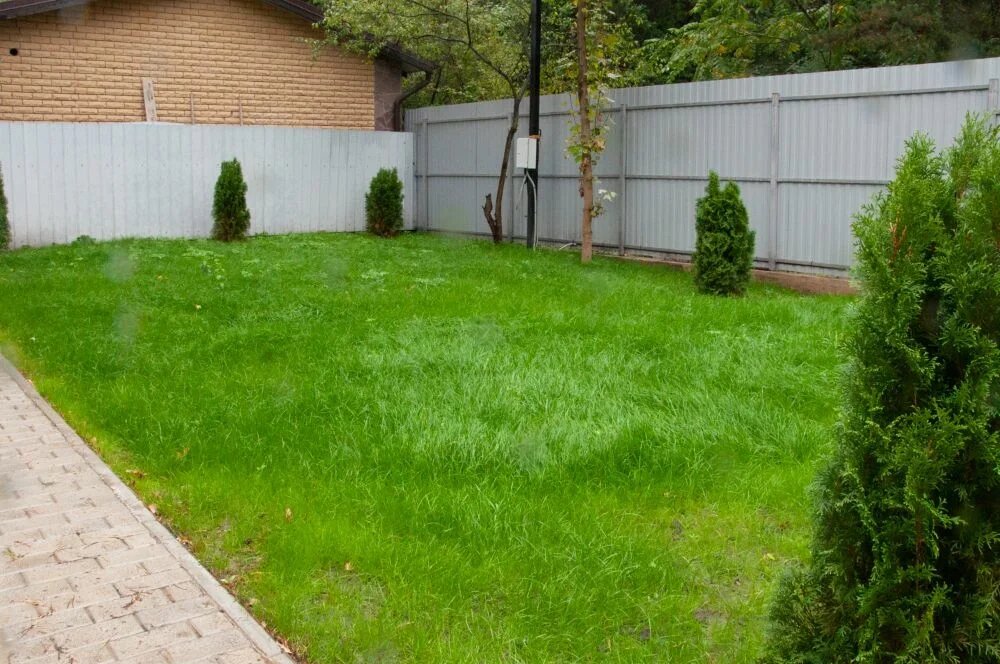 Huzurevi, bakımevi Teplyye besedy, Koroliov, foto