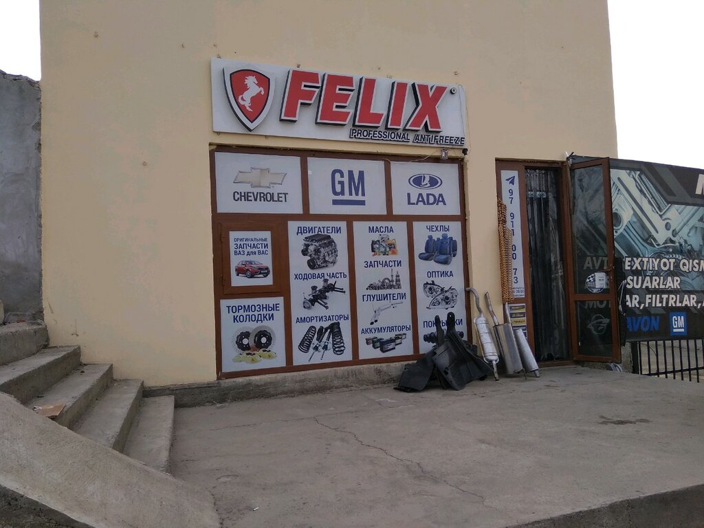 Otomobil yedek parçaları Felix, Semerkant, foto