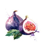 Ecosweets. kz (Máńgilik El dańǵyly No:21), kuruyemiş, atıştırmalık, kuru meyve  Astana'dan
