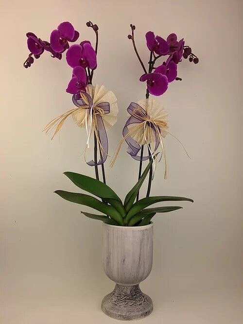 Çiçek teslimatı Edirne Çiçekçi Doğa Çiçek, Edirne, foto