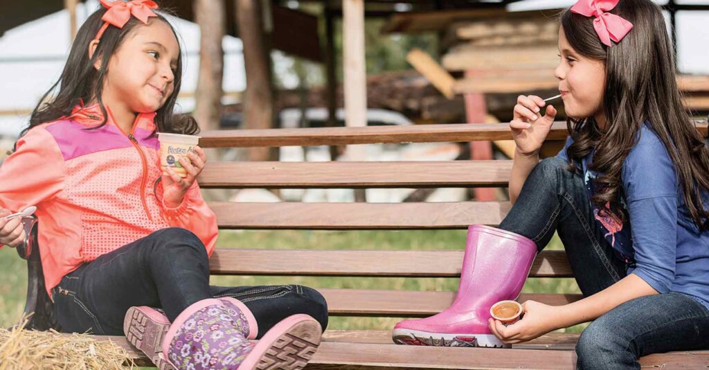 Kuruyemiş, atıştırmalık, kuru meyve Lacteos Betania Sa, Medellin, foto