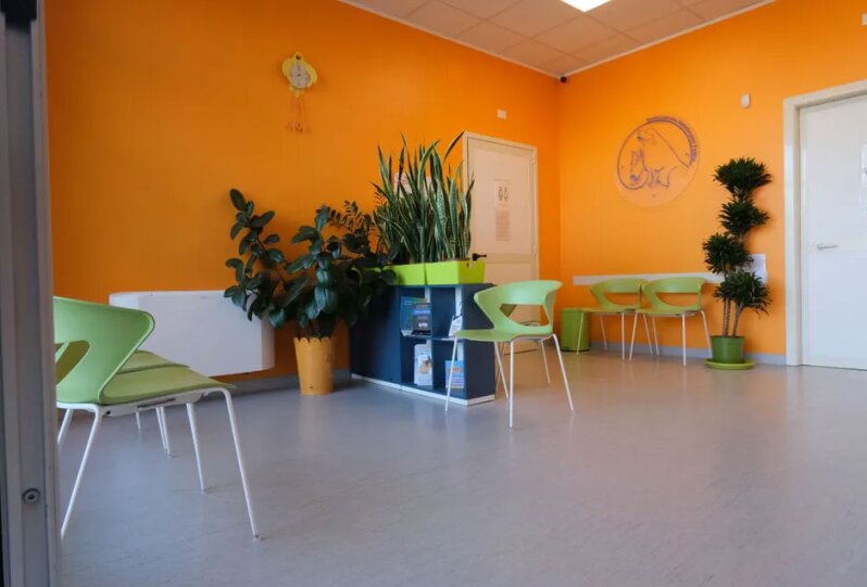 Veteriner klinikleri Ambulatorio Veterinario Fedra, Abruzzo, foto