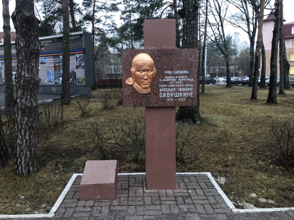 Anıt, heykel Герой Советского Союза А.П. Савушкин, Şatura, foto