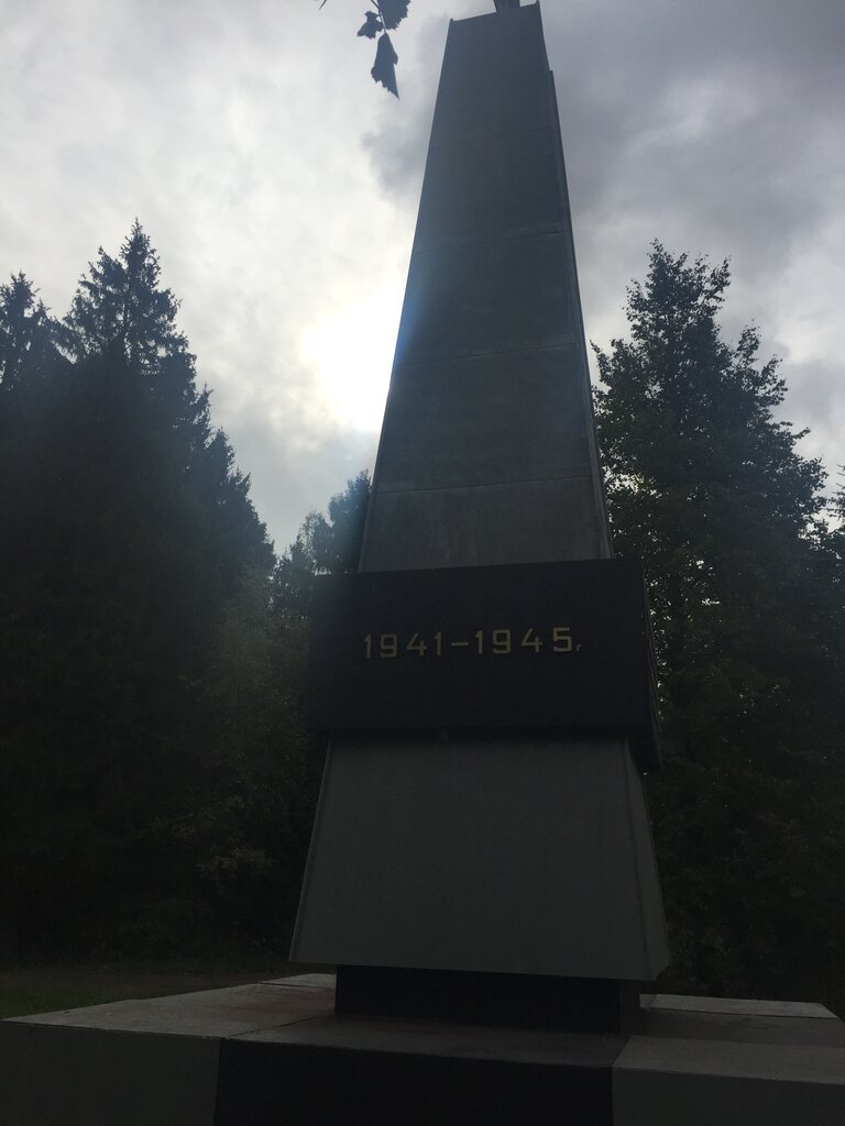 Anıt, heykel Обелиск комсомольцам, погибшим в боях за Наро-Фоминск, Naro‑Fominsk, foto