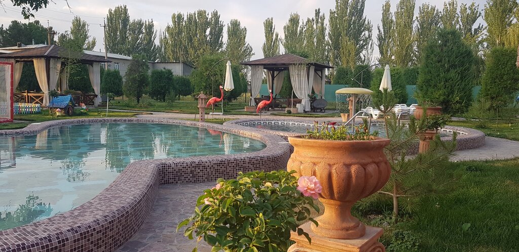 Termal otel Zangiota Zam-Zam санаторияси, Taşkent eyaleti, foto