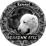 Kennel Oessenn Stil Central Azian Shepherd Dog (ulitsa 1 Maya No:12, derevnya Bolshoye Sedelnikovo), evcil hayvan yetiştiricileri  Sverdlovskaya oblastından