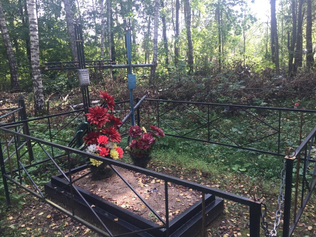 Ünlü kişilerin mezarları М.Т. Простаков и сын, Smolenskaya oblastı, foto
