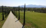Vivaio Petroni e Cinquini (Tuscany, Lucca, Capannori, Massa Macinaia), sera ve bahçe ürünleri  Toskana'dan