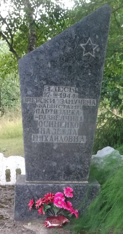 Anıt, heykel Партизанам, Minskaya oblastı, foto