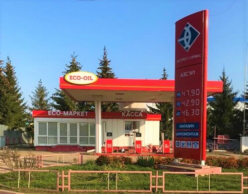 Benzin istasyonu Eko Oil, Moskova ve Moskovskaya oblastı, foto