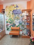 Детская оптика (ulitsa Kolpakova No:29), optik  Mytişçi'den