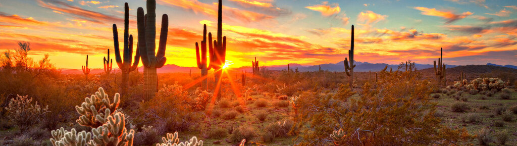i̇nşaat firmaları Buntin Excavating, Arizona Eyaleti, foto