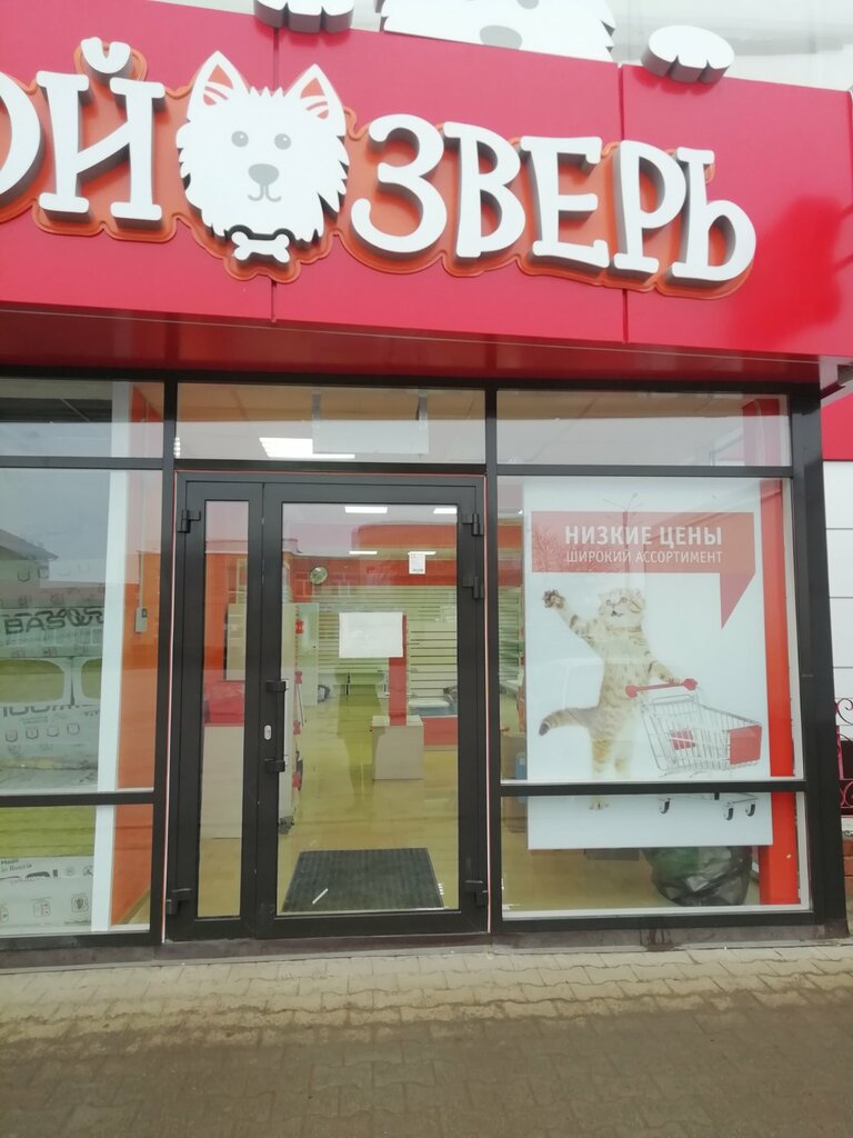 Petshop Moi Zver, Osa, foto