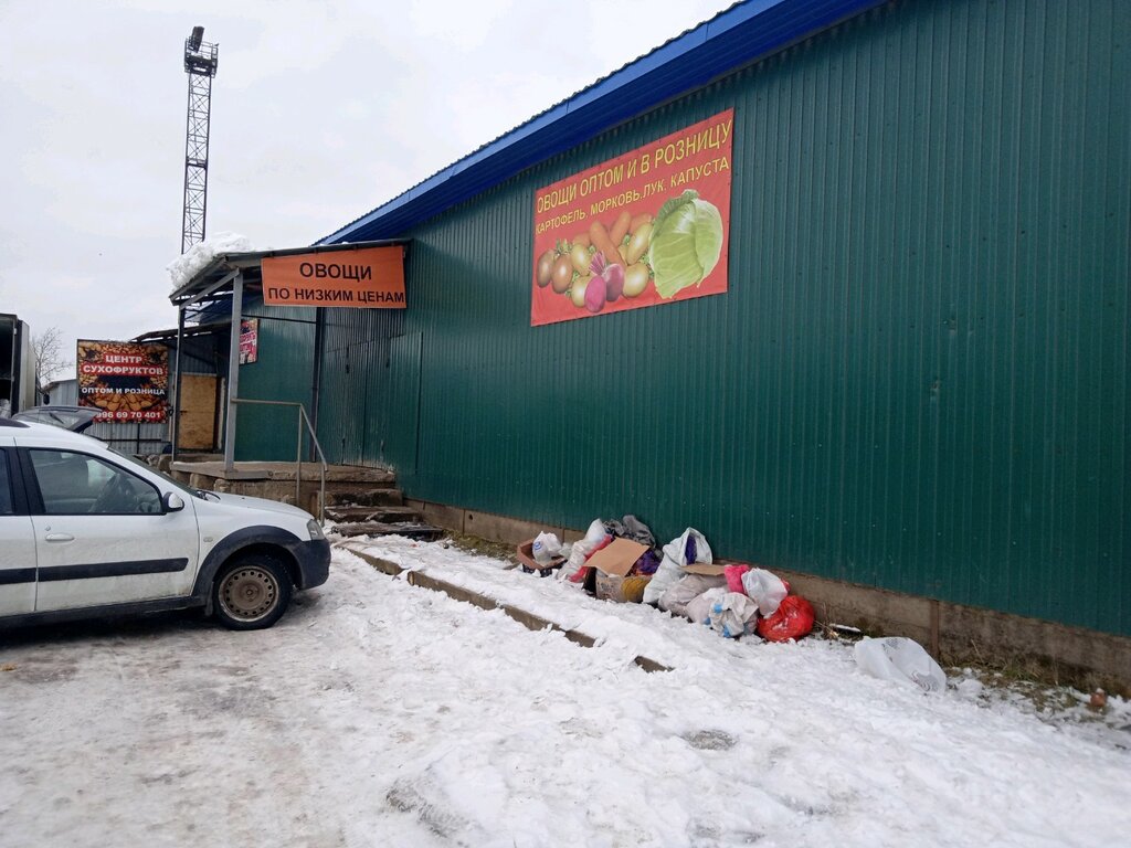 Manavlar Картофель, Yaroslavl, foto