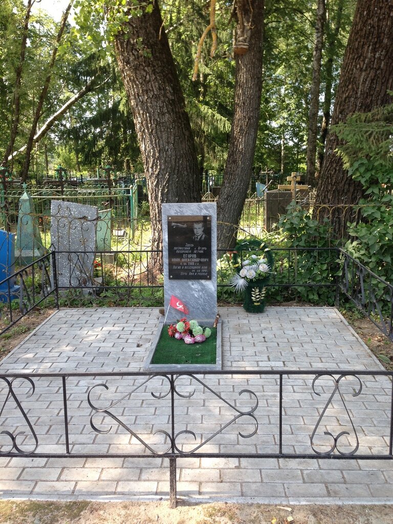 Ünlü kişilerin mezarları Лётчик Иван Александрович Егоров, Kalujskaya oblastı, foto