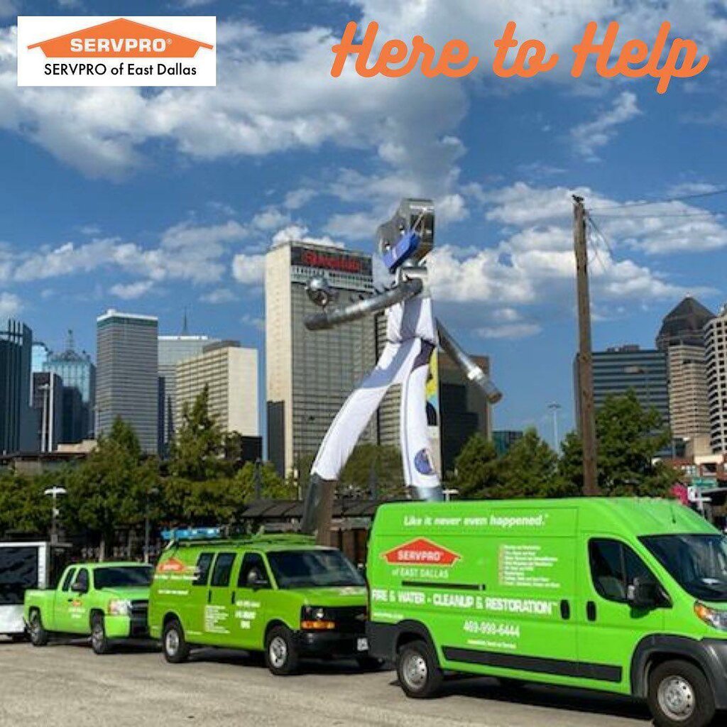 Halı yıkamacılar Servpro of East Dallas, Dallas, foto