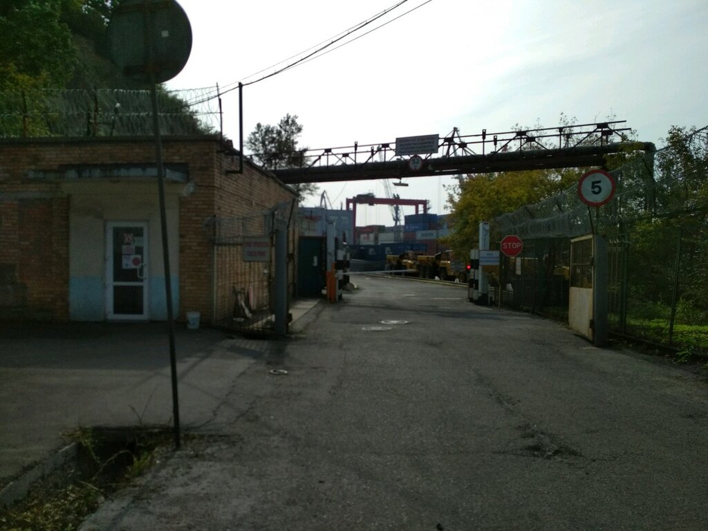Demiryolu kargo Владивостокский морской контейнерный терминал, Vladivostok, foto