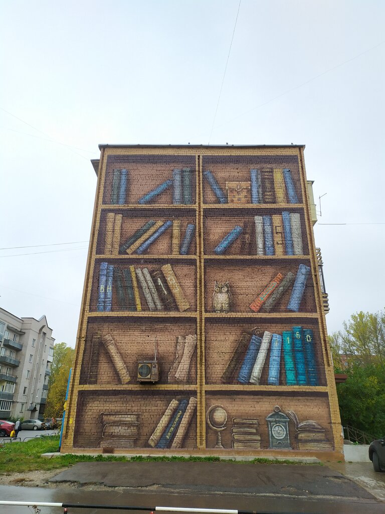 Sokak sanatı Мурал Книжный шкаф, Velikiy Novgorod, foto