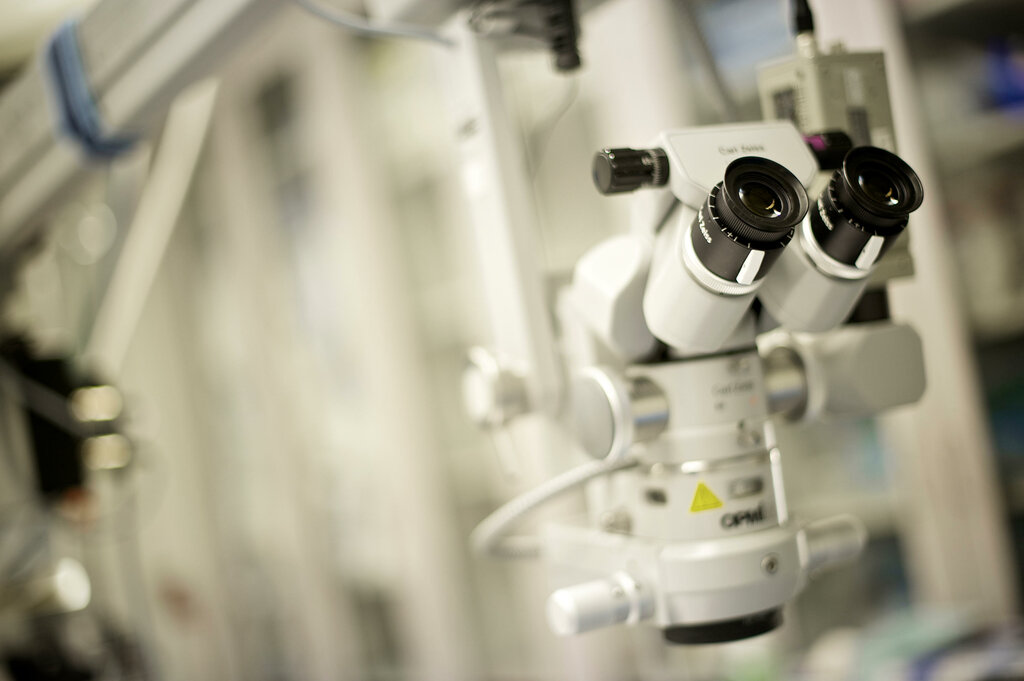 Optik Seeta Eye Centers, New York Eyaleti, foto