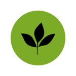 Everything Organic (Ondo, Ado Ekiti), market  Dünya'dan